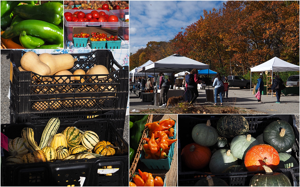 Greater Gorham Farmers Outdoor Market Season Ends - The Gorham Times